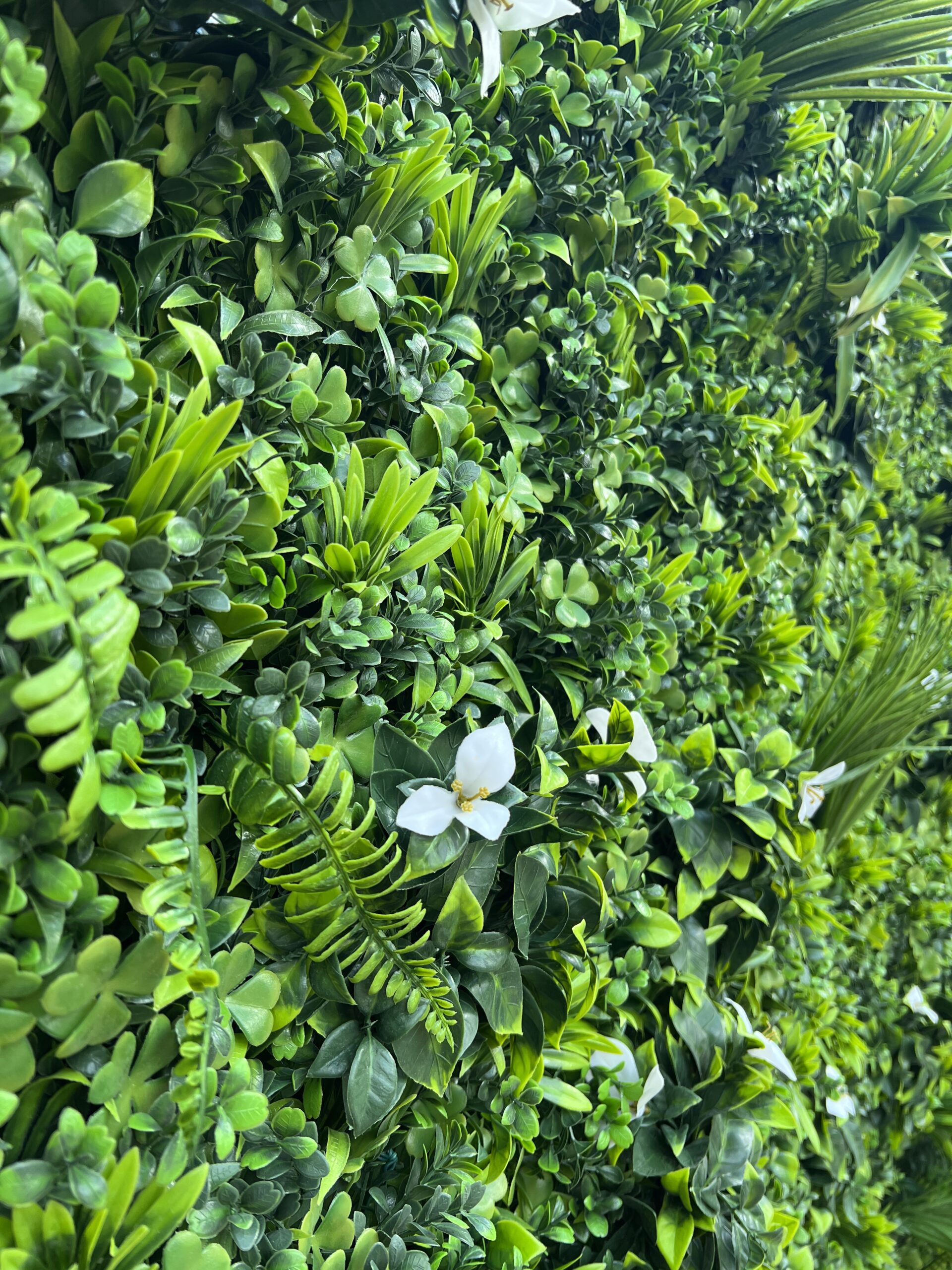 Flower Walls - Lit Light Love